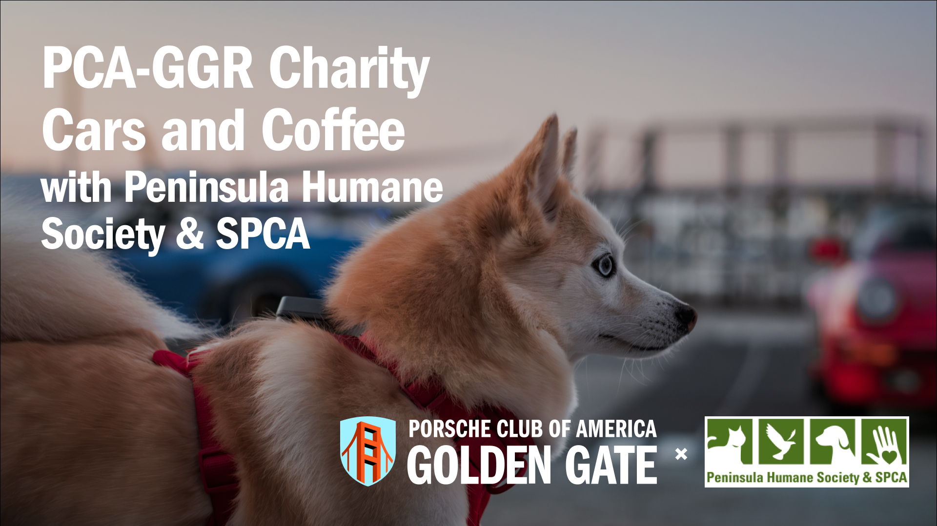 PCA x SPCA Charity Cars and Coffee and Social