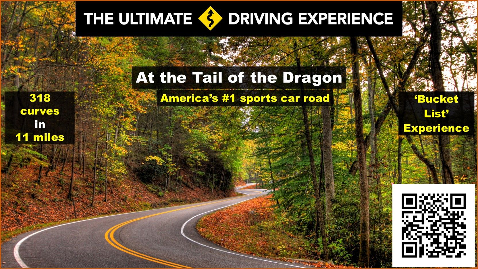 Tail of the Dragon Stampede